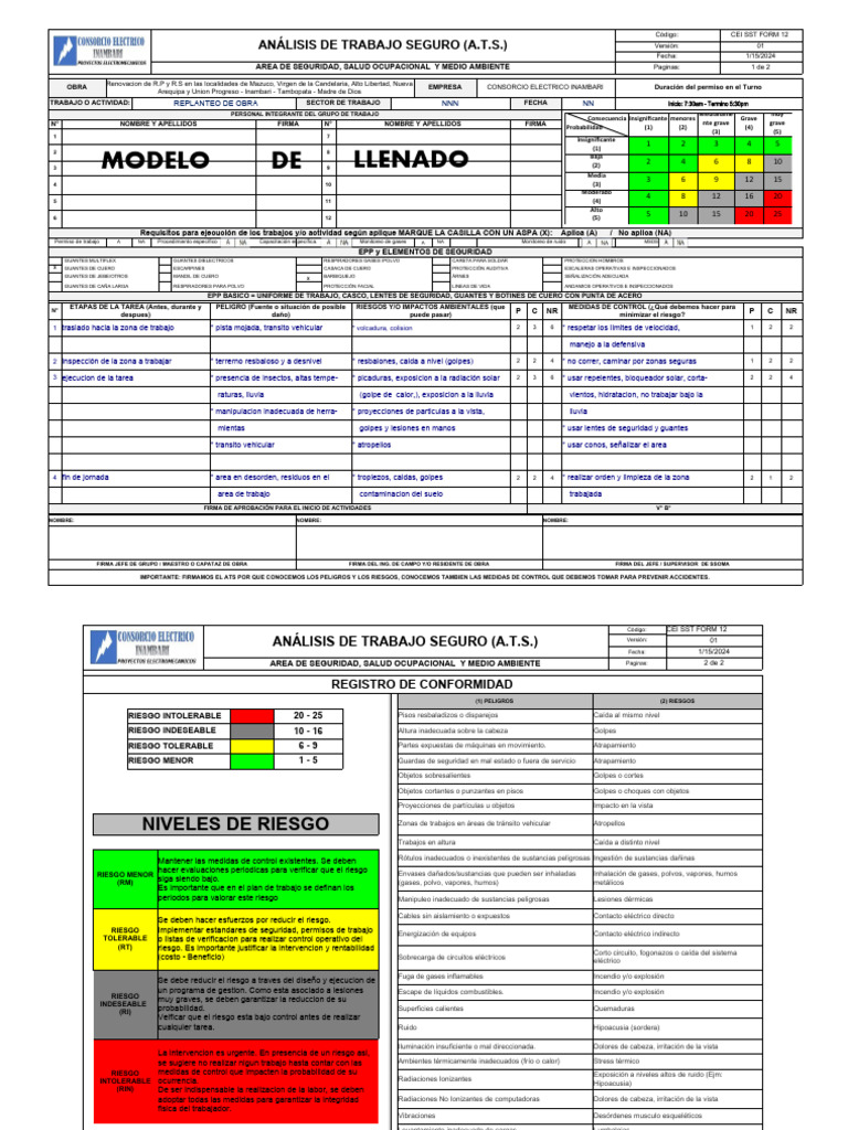 Modelos de ATS para Seguridad Laboral | PDF