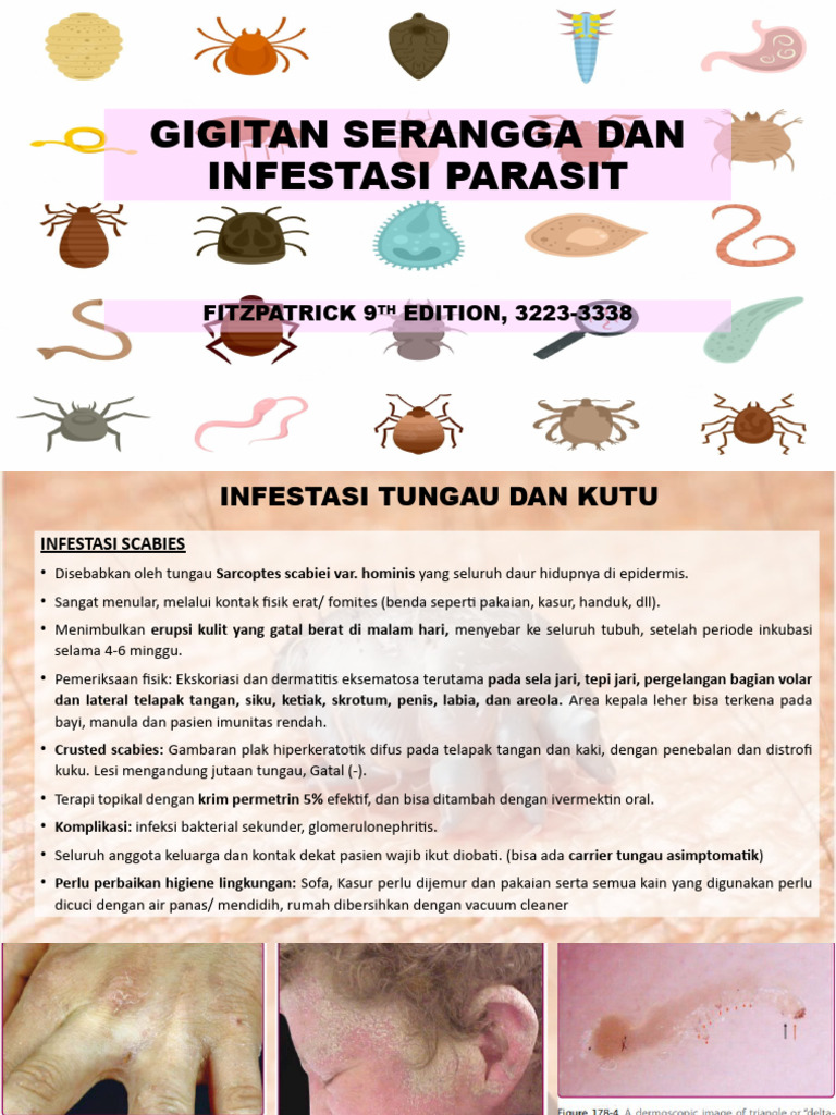 Gigitan Serangga Dan Infestasi Parasit | PDF