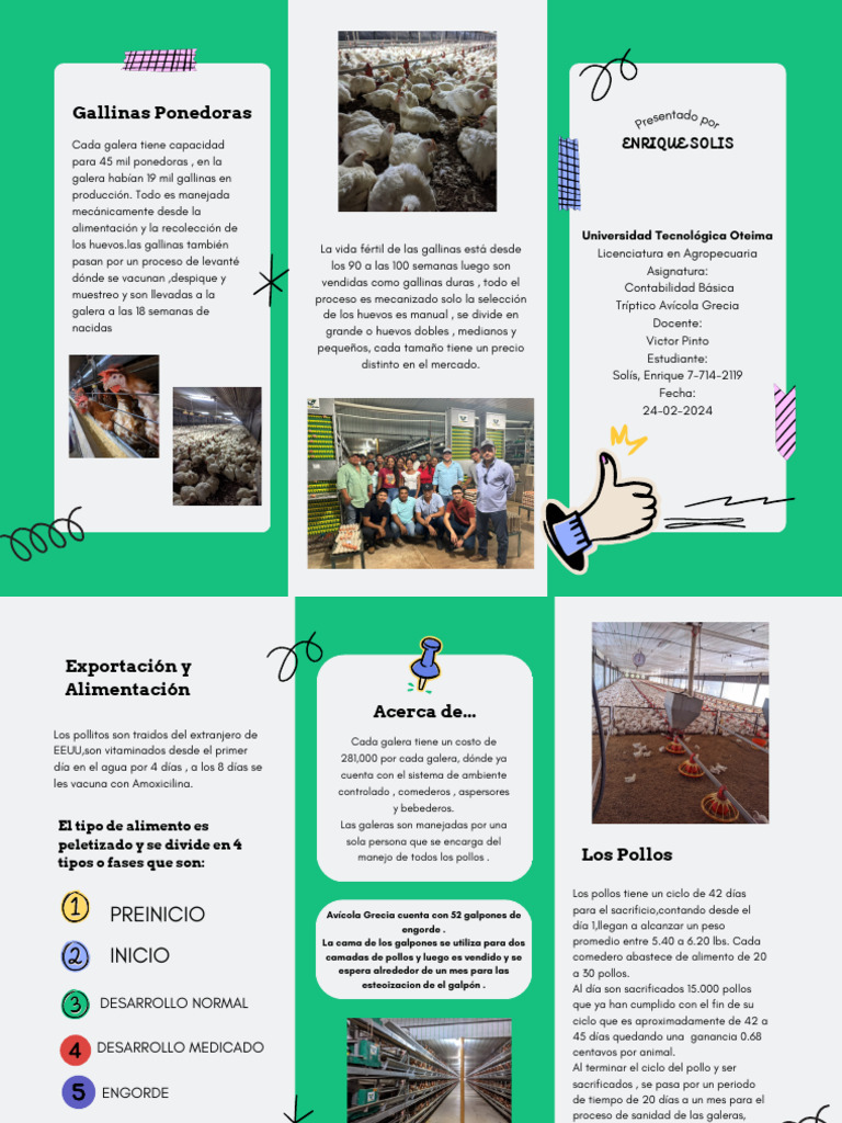 Folleto Tríptico de Servicio de Marketing Agencia Creativa Ilustrado Doodle Multicolor ...