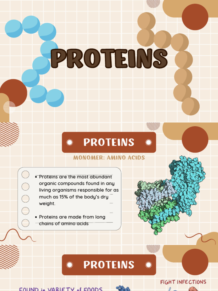 Proteins | PDF | Amino Acid | Proteins
