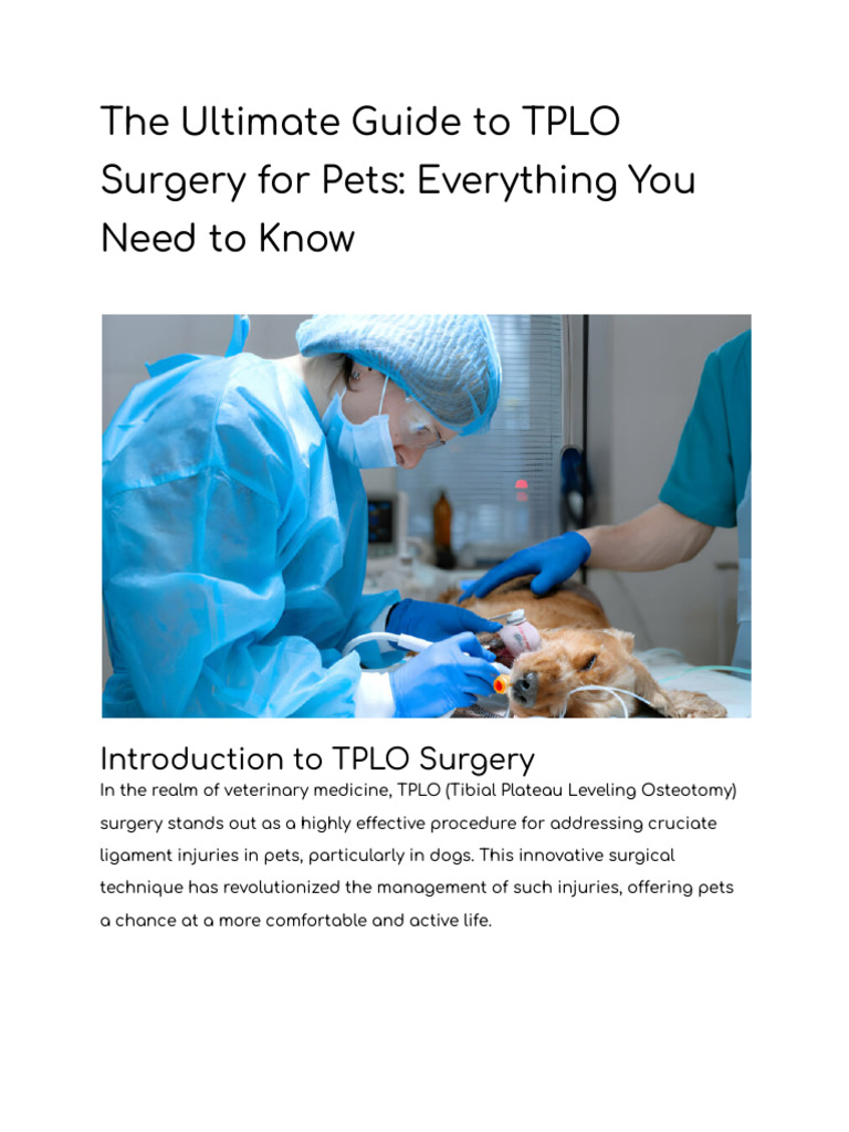 The Ultimate Guide To TPLO Surgery For Pets - Everything You Need To ...