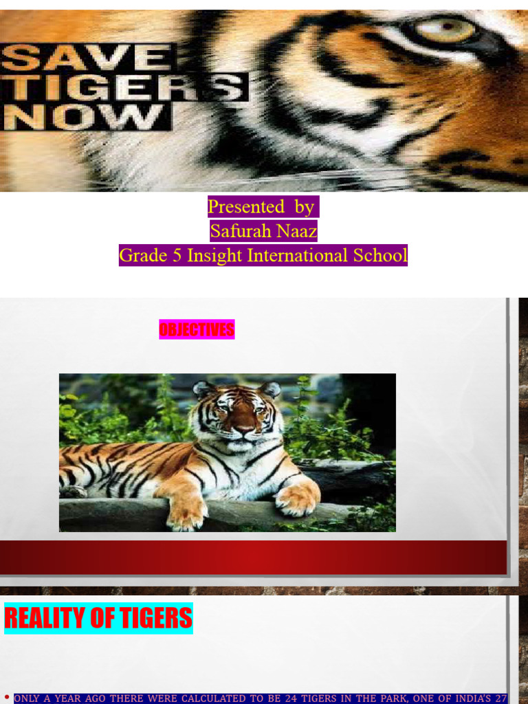 Special Tigers | PDF