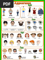 Adjectives for Physical Descriptions | PDF