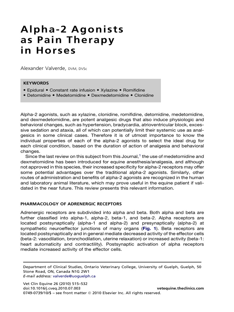 Alpha-2 Agonists As Pain Therapy in Horses | PDF | Science & Mathematics