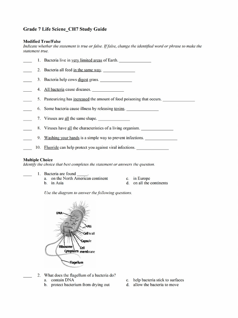 CH7 Study Guide - Updated | PDF