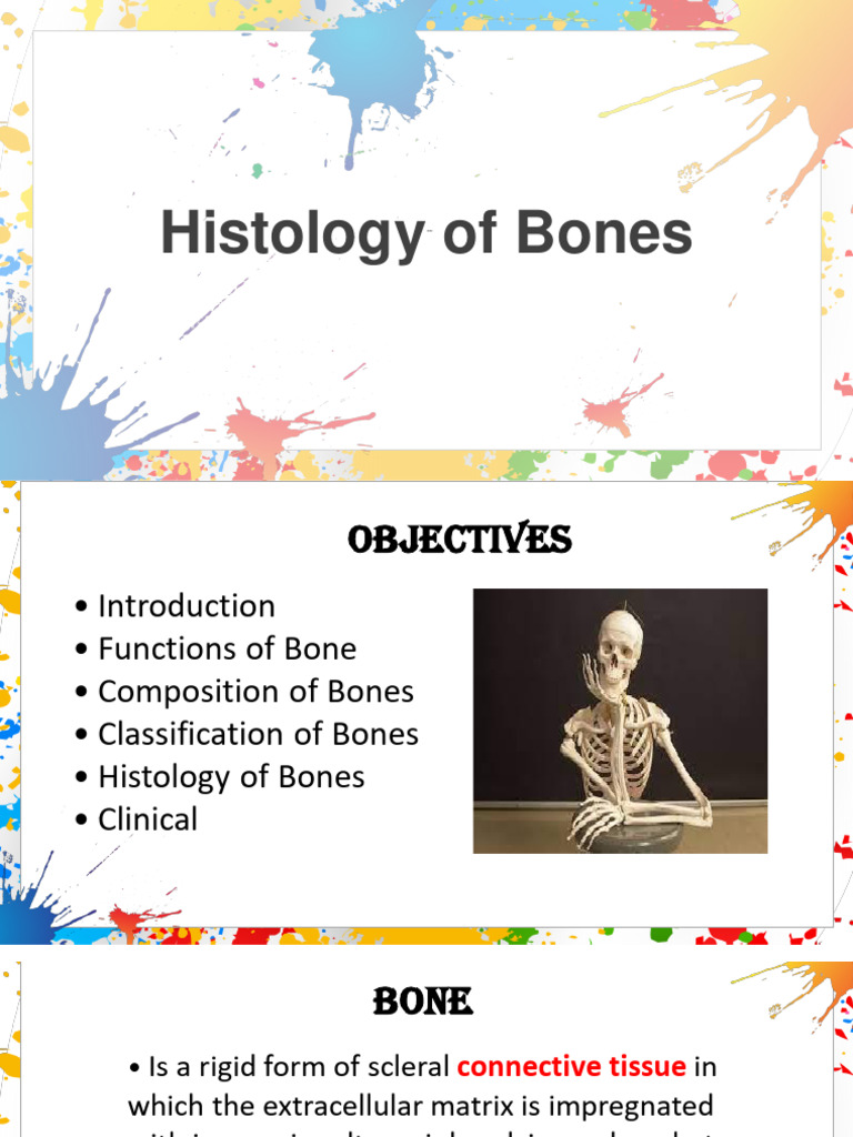 Histology of Bones | PDF | Bone | Anatomy