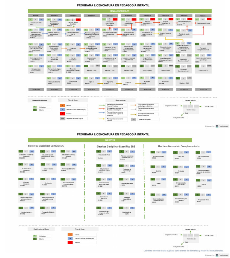 Malla Curricular - Licenciatura en Pedagogía Infantil | PDF