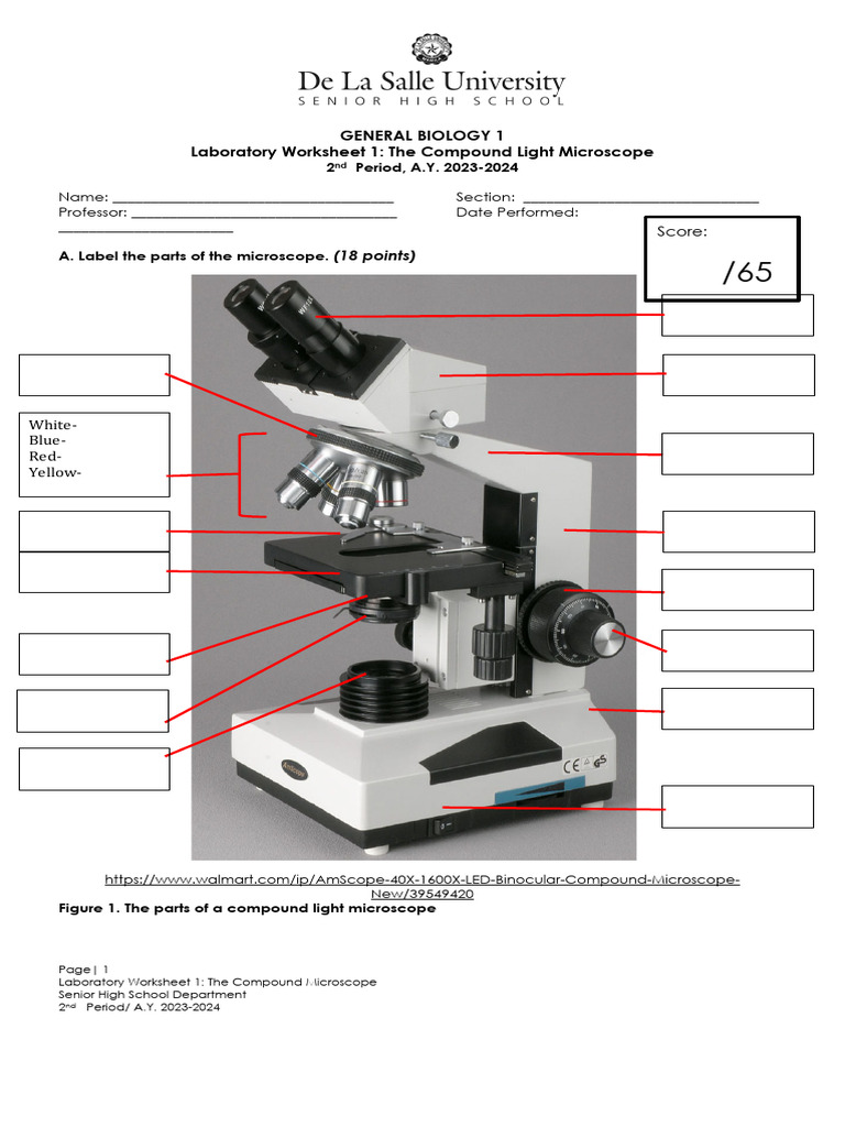 Act 1 Microscope (Answer Sheet) | PDF | Optics | Electromagnetic Radiation