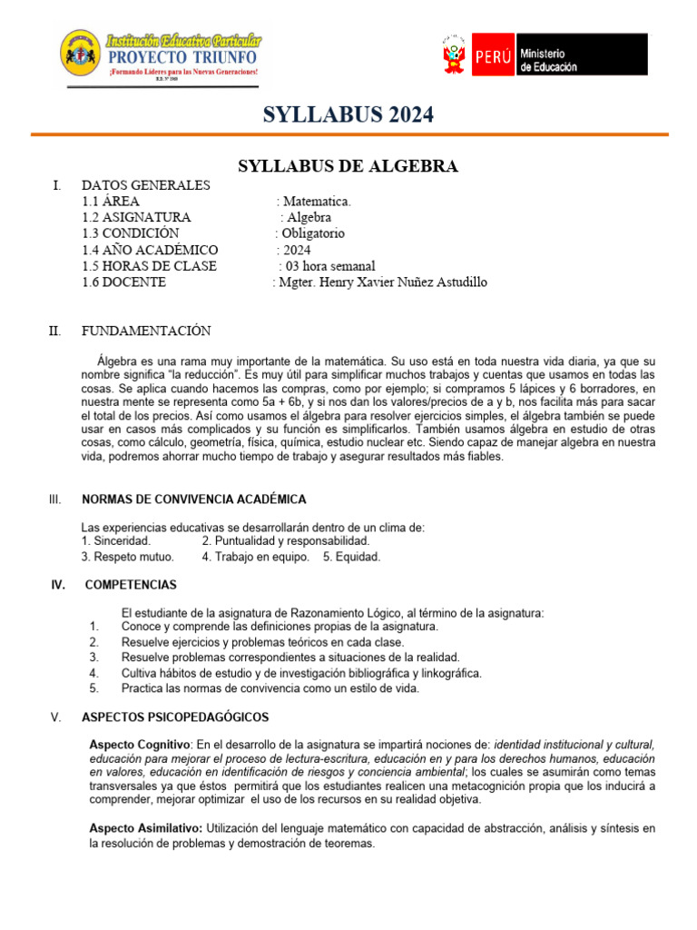 Modelo de Syllabus 2024 | PDF