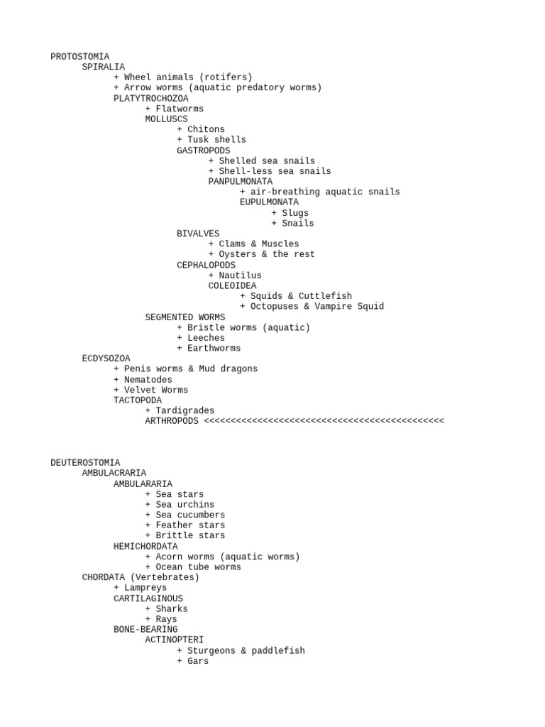 taxonomy notes | PDF | Mollusca | Taxa