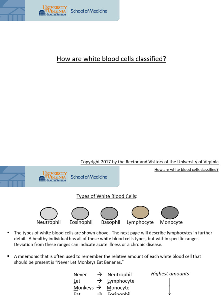 How White Blood Cells Classified | PDF