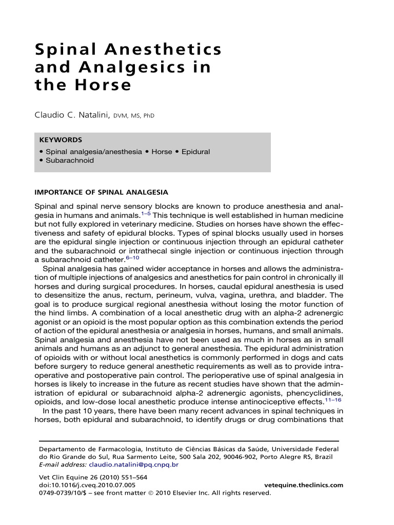 Spinal Anesthetics and Analgesics in The Horse | PDF | Anesthesia ...