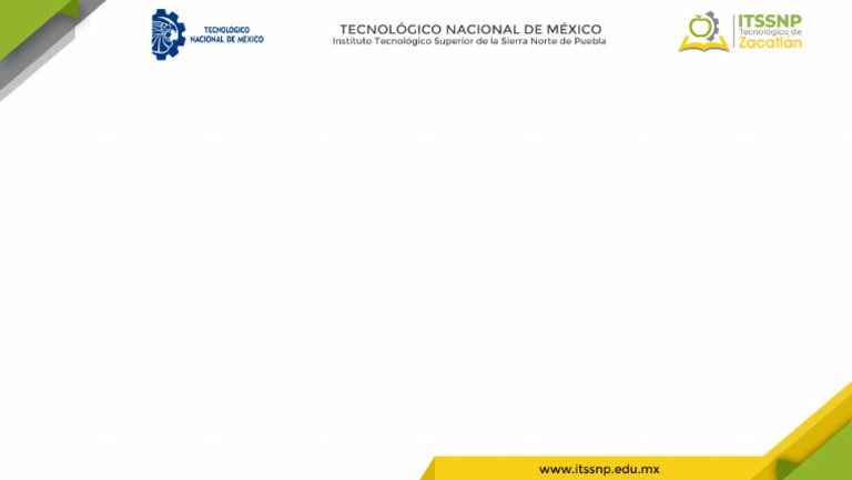 Diapositiva ITSSNP 2024 | PDF