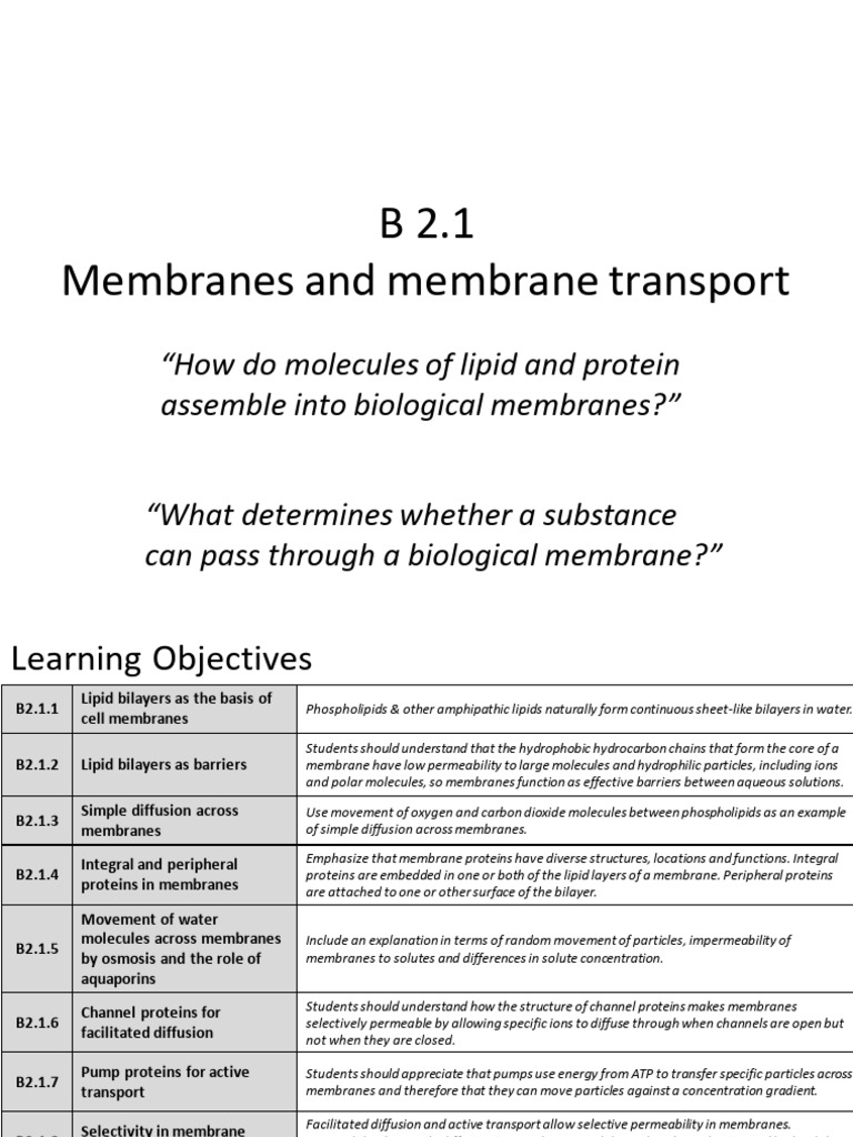 B 2.1 SL Membranes and Transport | PDF | Wellness | Science & Mathematics