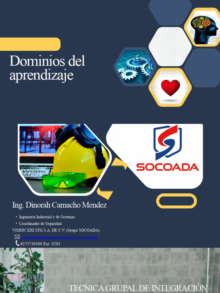 Dominios Del Aprendizaje | PDF | Aprendizaje | Cognición