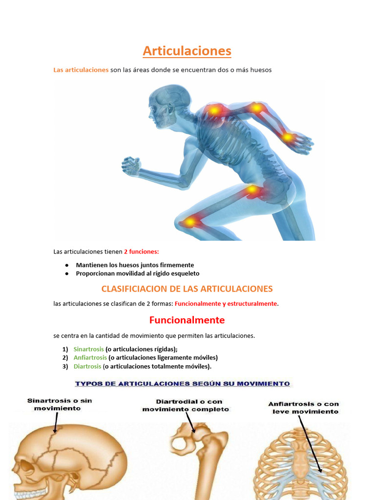 ARTICULACIONES | PDF