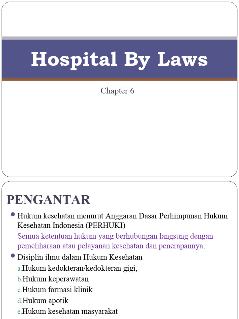 Chapter 6 - Hospital by Laws | PDF