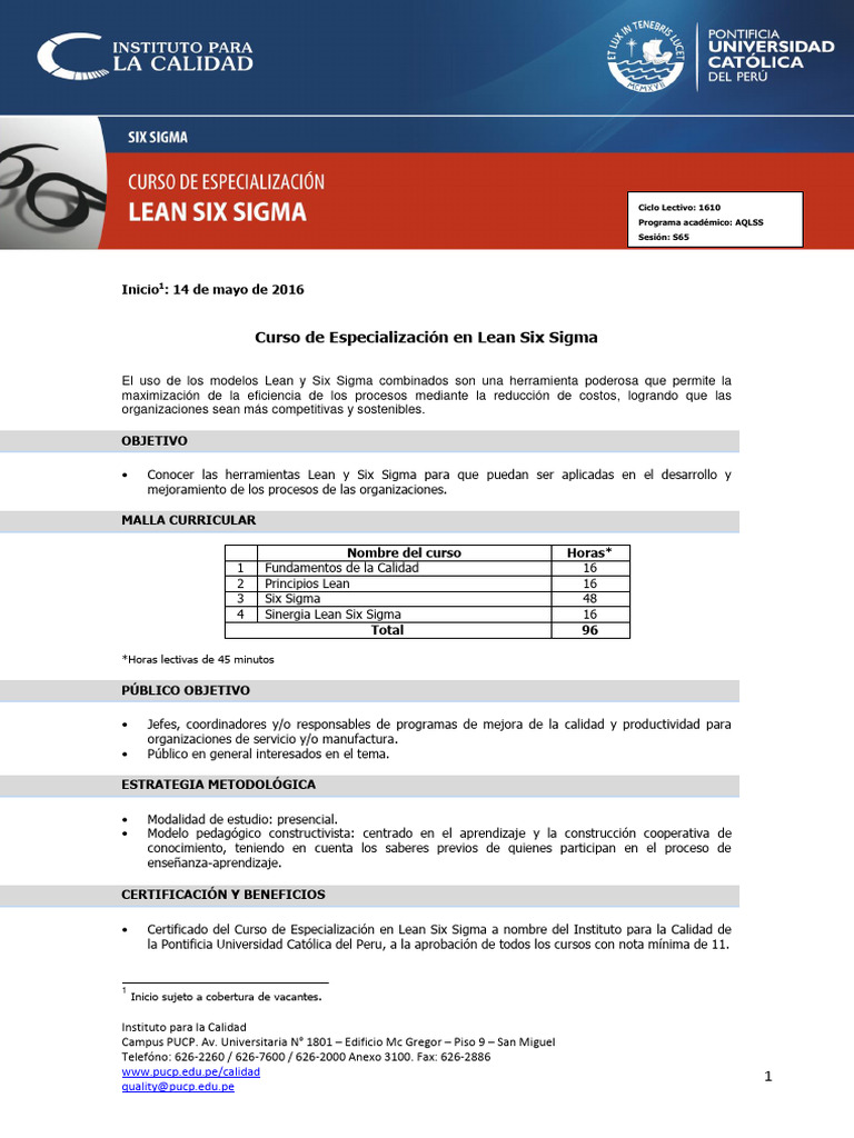 Curso - Lean Six Sigma AQP | Descargar gratis PDF | Six Sigma ...