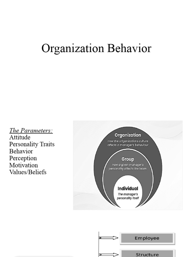 Organization Behavior | PDF