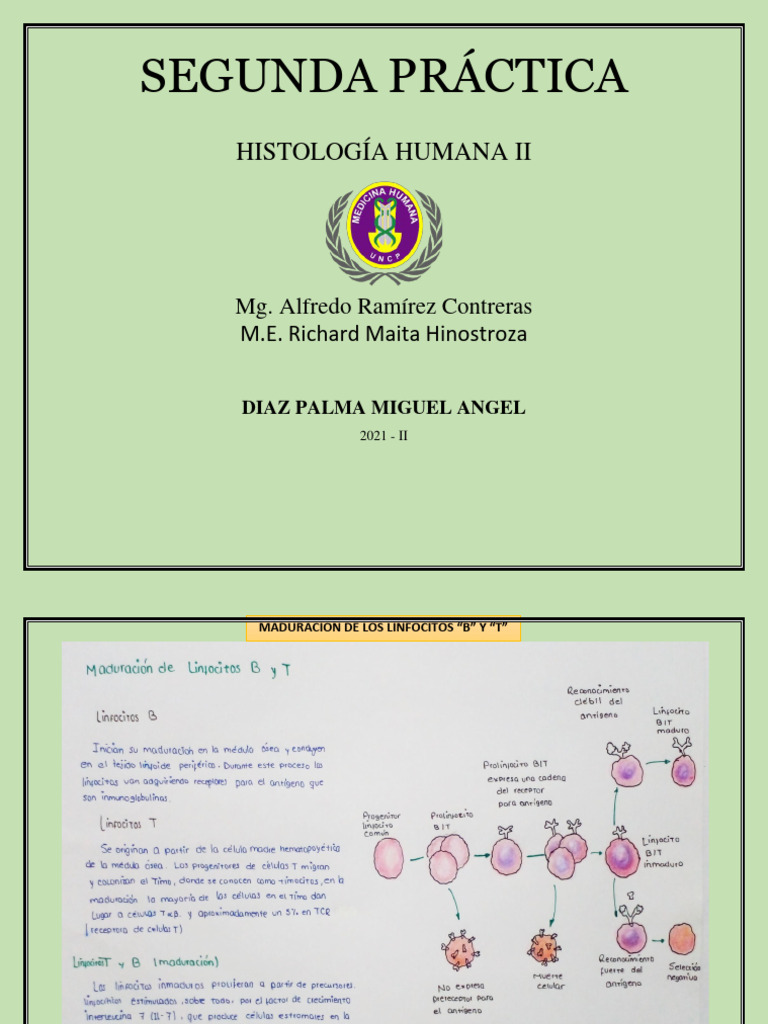 SEGUNDA PRÁCTICA Histo. II | PDF