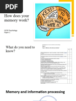 Psychology of Memory: HM Case Study | PDF | Memory | Long Term Memory