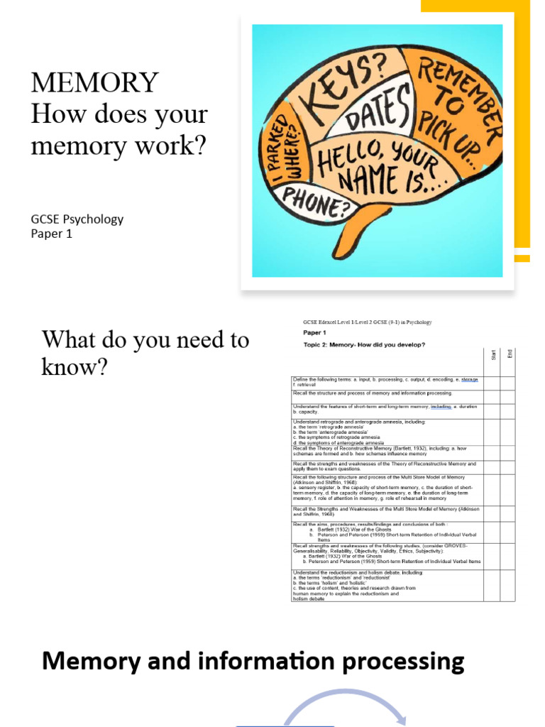 Understanding Memory: GCSE Psychology Guide | PDF | Memory | Long Term ...