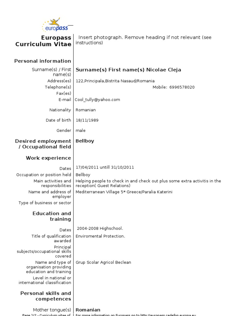 Model CV Curriculum Vitae European Engleza | PDF
