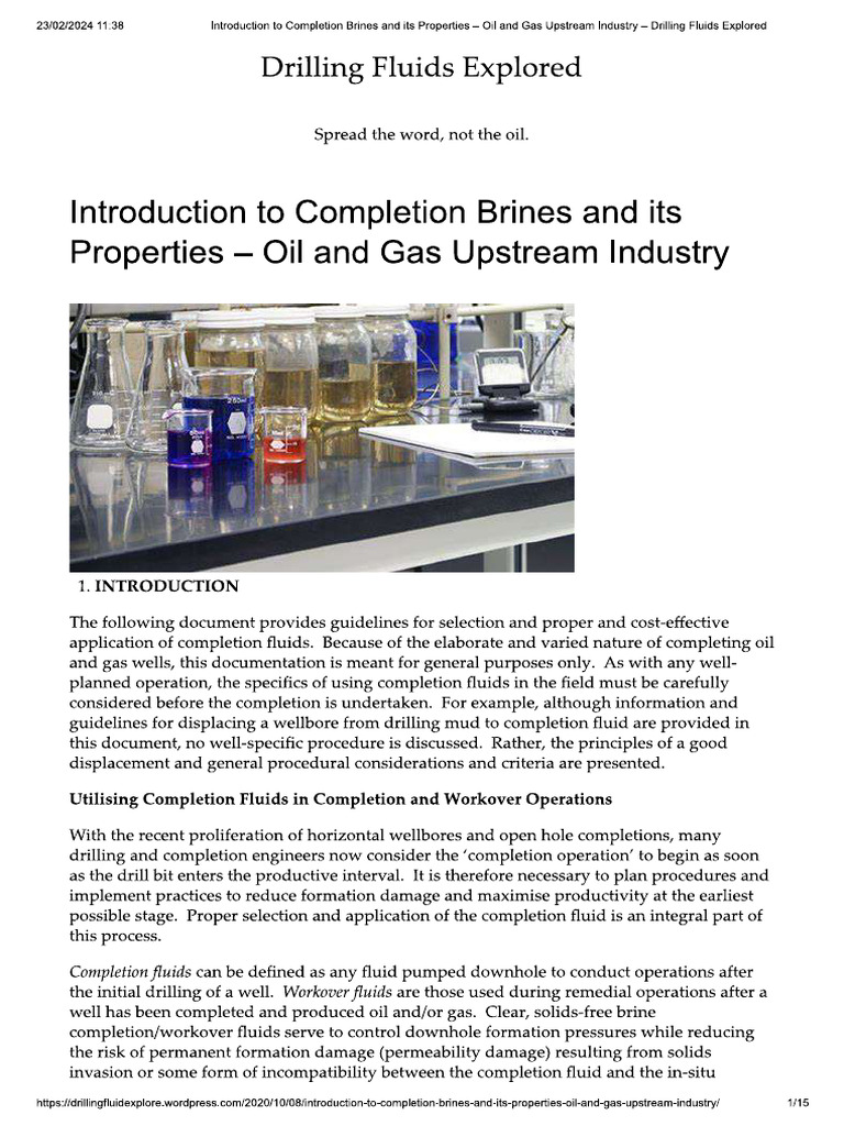 Completion Brine 1 | PDF