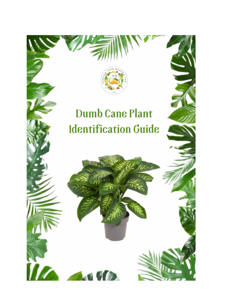 Dumb Cane Varieties Identification Guide | PDF | Plants | Botany