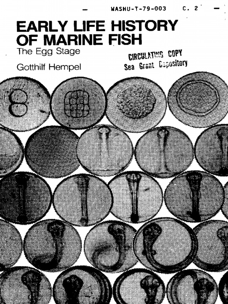 Early Life History of Marine Fish: The Egg Shape | PDF