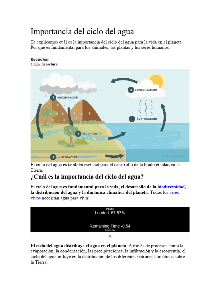 Importancia Del Ciclo Del Agua | PDF
