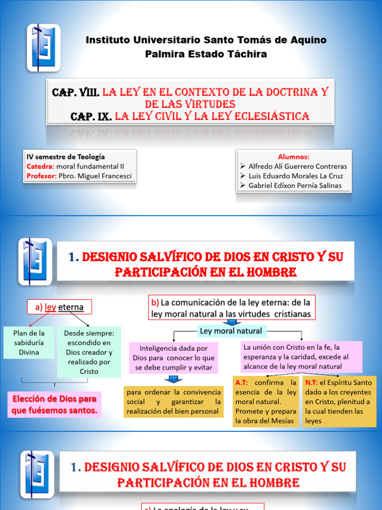 Cáp VIII y IX | PDF