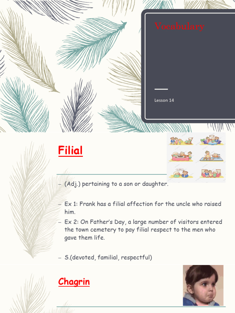 Vocabulary Lesson 2 | PDF