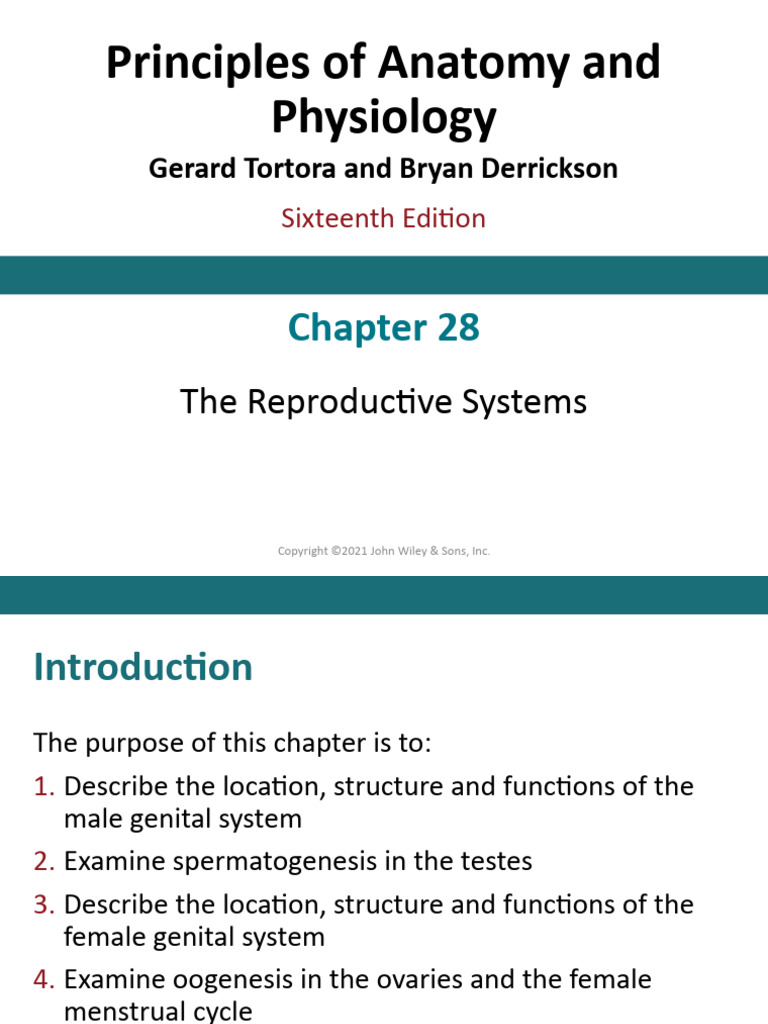 The Reproductive System | PDF | Birth Control | Ovary