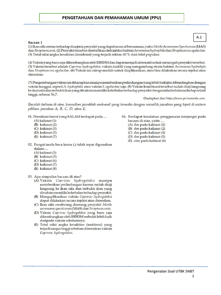 Soal TPS - PPU | PDF