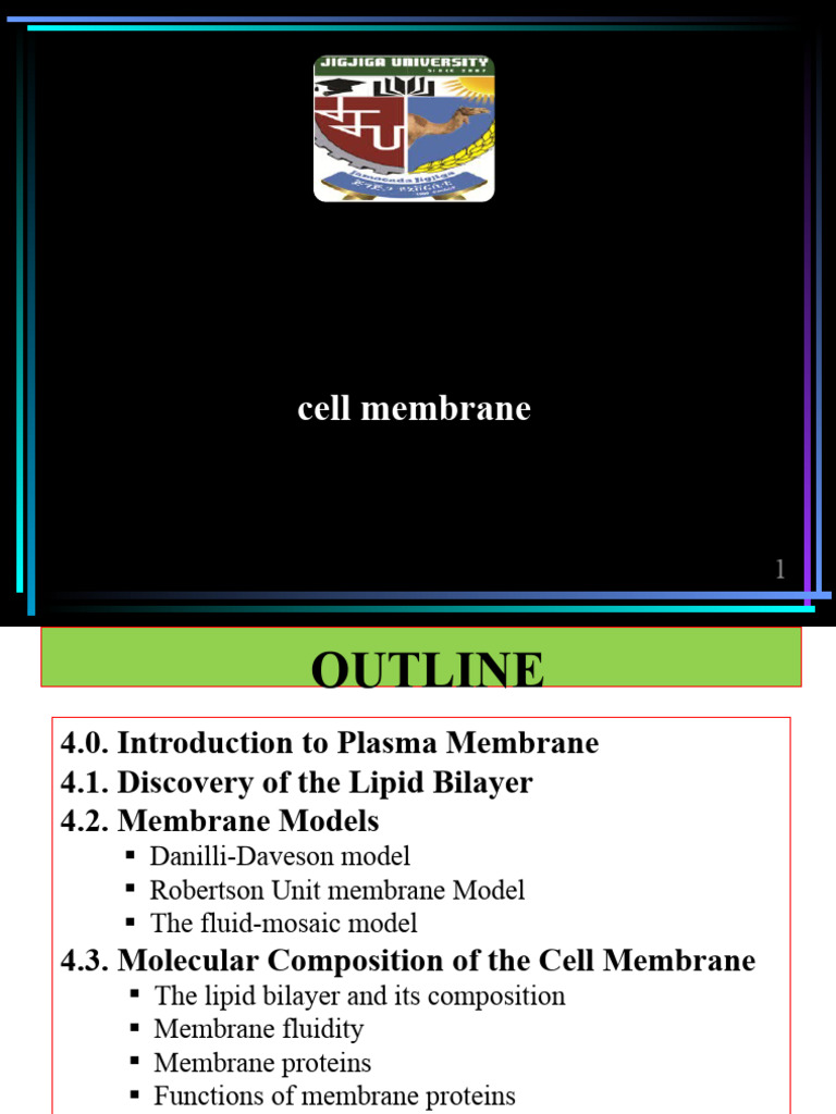Cell Membrane Essentials | PDF