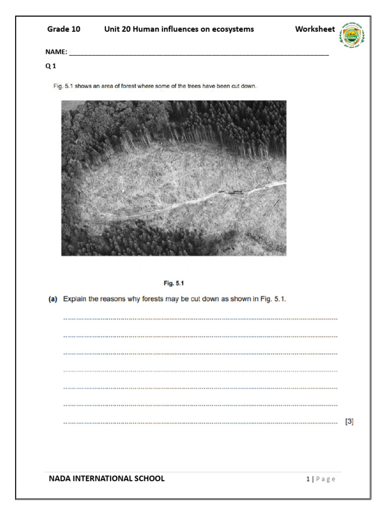 Grade 10 Unit 20 Human Influences On Ecosystems Worksheet | PDF