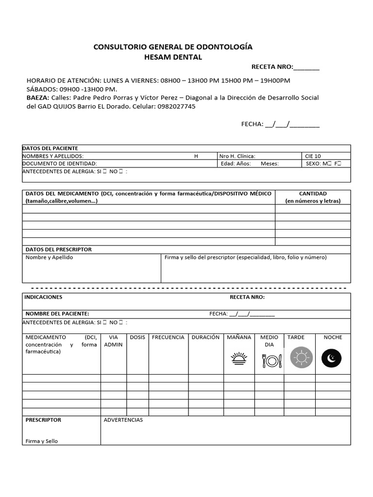 Recetario Segun Formato MSP | PDF
