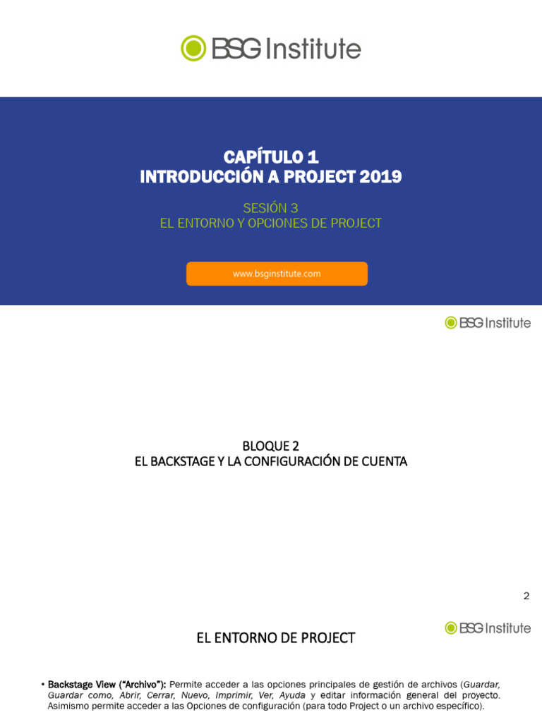 Introducción a Project 2019: Backstage y Configuración | PDF
