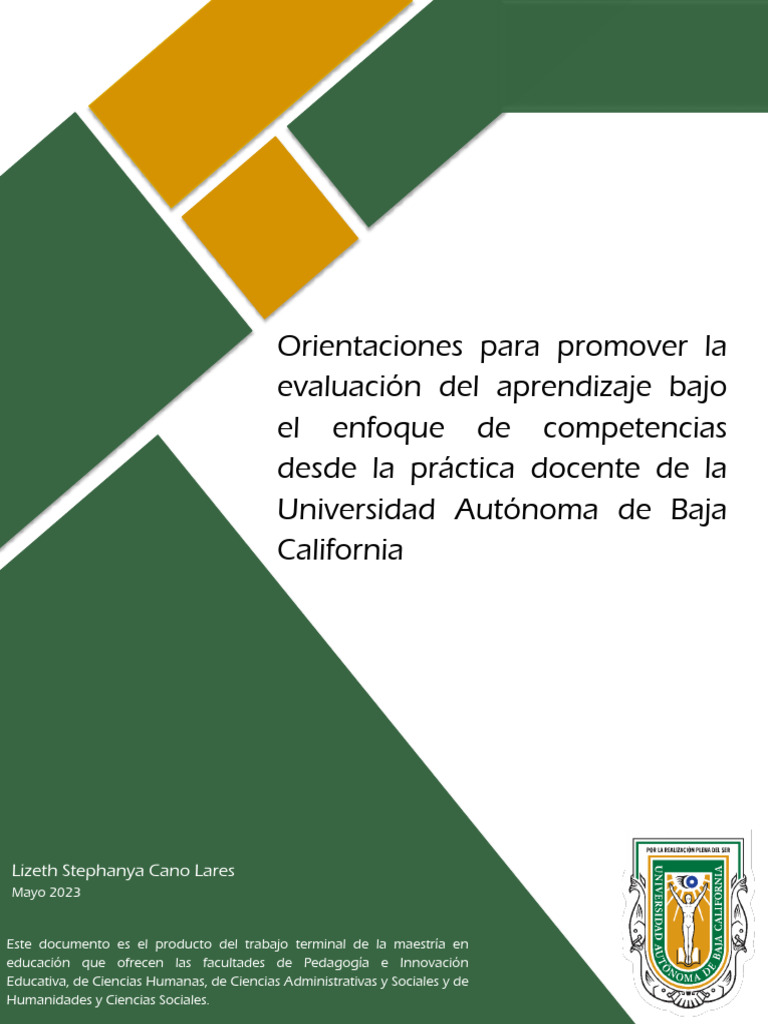Orientaciones para Promover La Evaluación Del Aprendizaje Bajo El Enfoque Por Competencias ...
