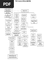 Pathway CKD Sdki | PDF