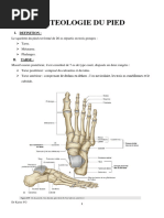 Radiographie de la cheville et du pied | PDF | Pied | Système squelettique
