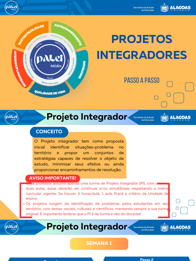 (pALei) Passo A Passo - Projetos Integradores 2024 | PDF | Pedagogia