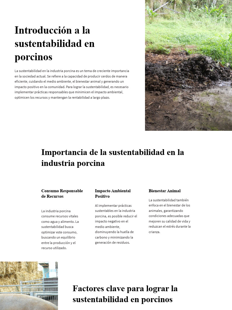 Introduccion A La Sustentabilidad en Porcinos | PDF | Sustentabilidad | Residuos