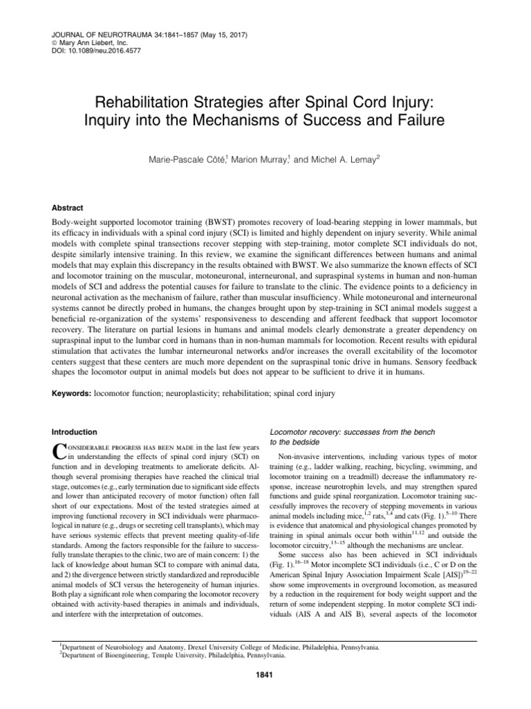 Rehabilitation Strategies After Spinal Cord Injury | PDF | Motor Neuron ...