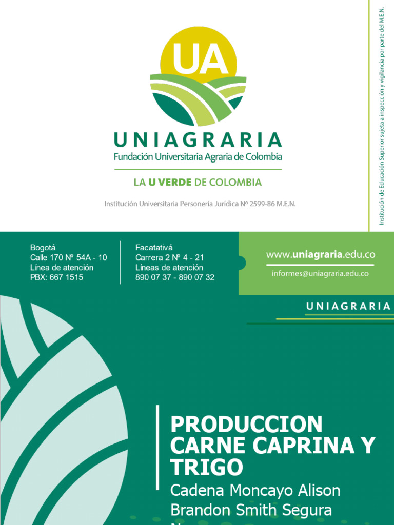 Producción de Carne Caprina y Trigo en Colombia | PDF | Carne | Agricultura