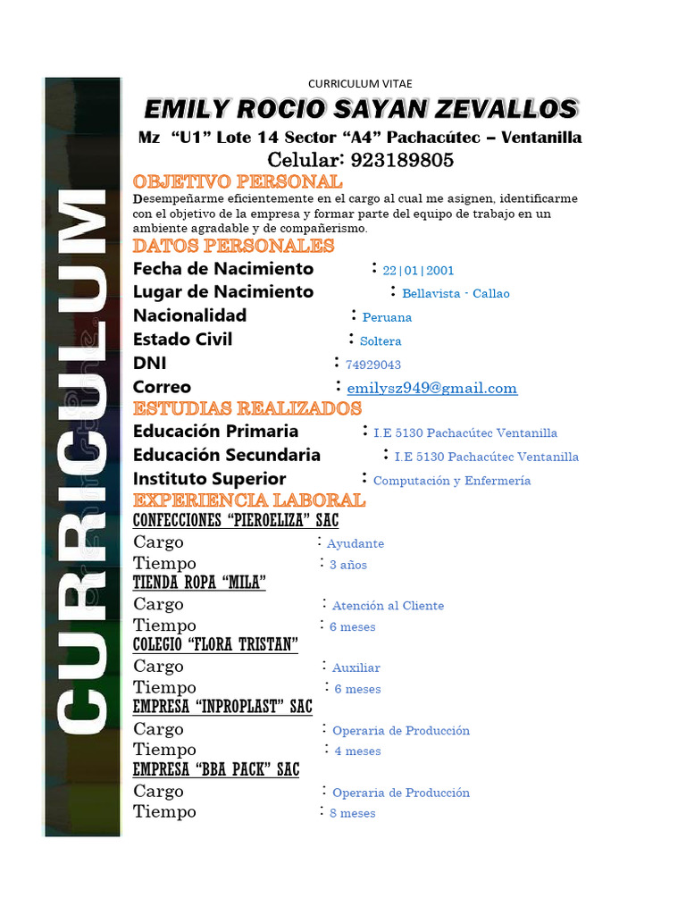 Curriculum Vitae Actualizado | PDF | Crecimiento personal y profesional