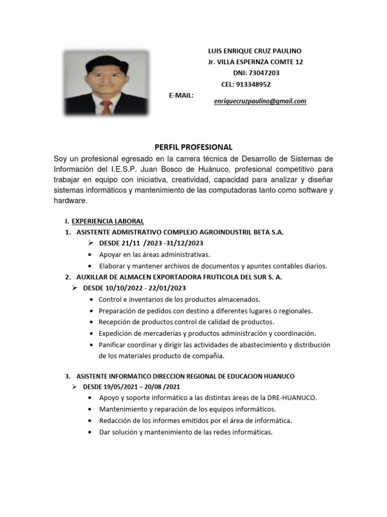 CV Enrique 2024 | PDF