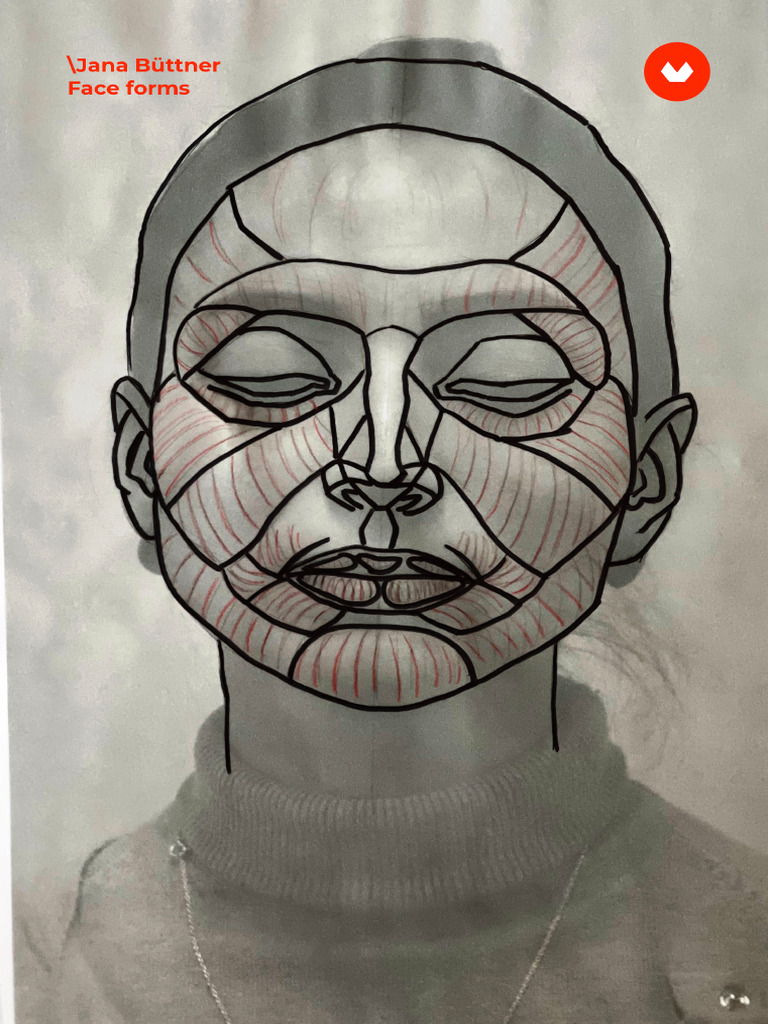 U3 02 Face Forms | PDF