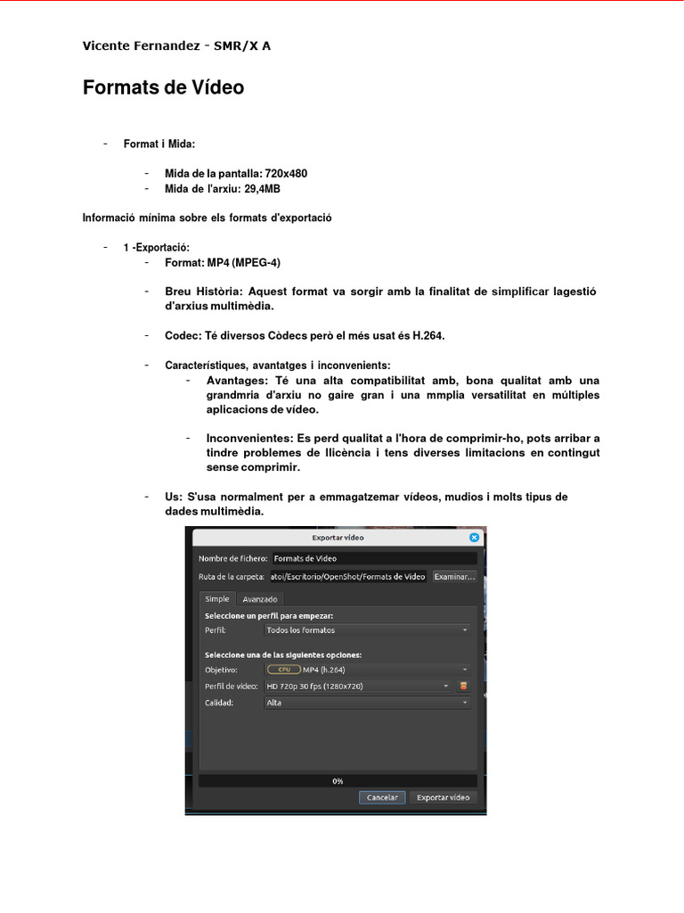 Formats de Vídeo | PDF